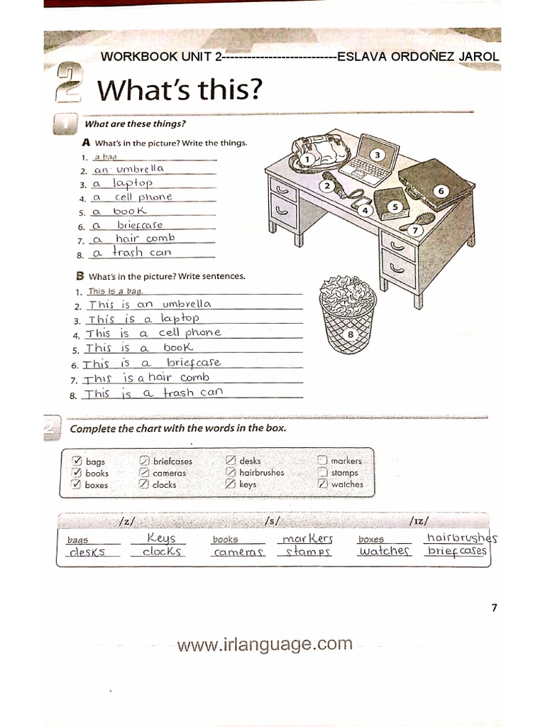 Work Book 2 Jarol Eslava Ordoñez | PDF