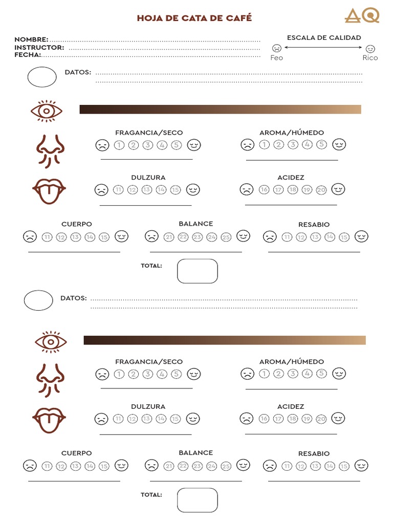 Hoja de Cata Basico | PDF