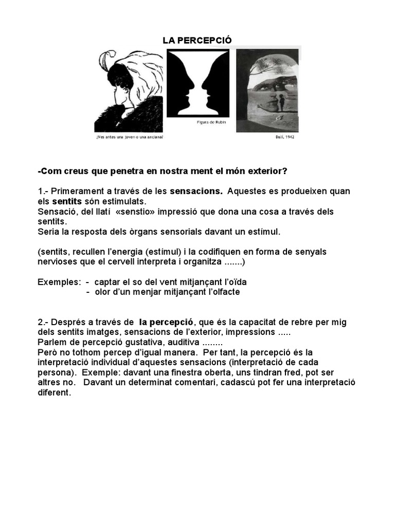 Percepció - Solucions | PDF