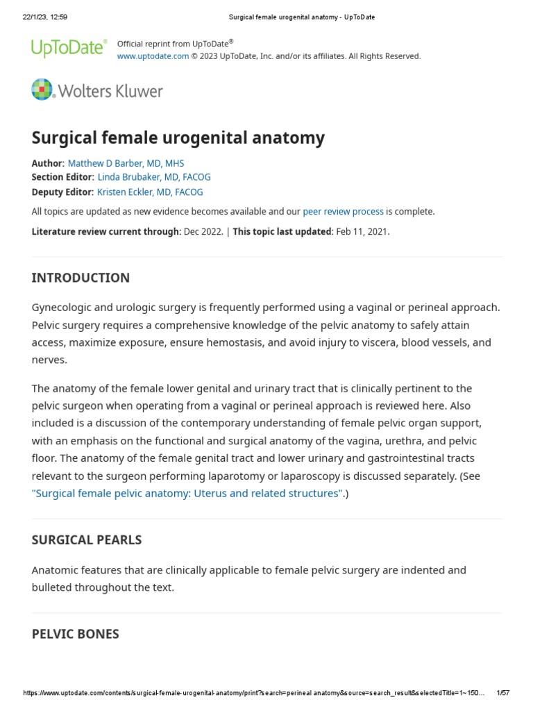 Surgical Female Urogenital Anatomy - UpToDate | PDF | Pelvis | Vagina