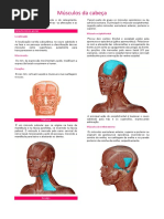 Músculos Do Crânio | PDF | Morfologia (Biologia) | Rosto