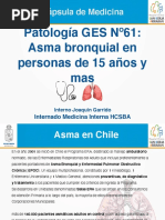 Qué Es La PAFI-1 | PDF