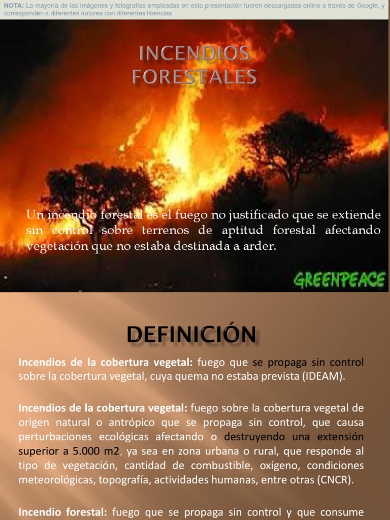 Incendios Forestales | PDF | Incendios | Fuego fatuo