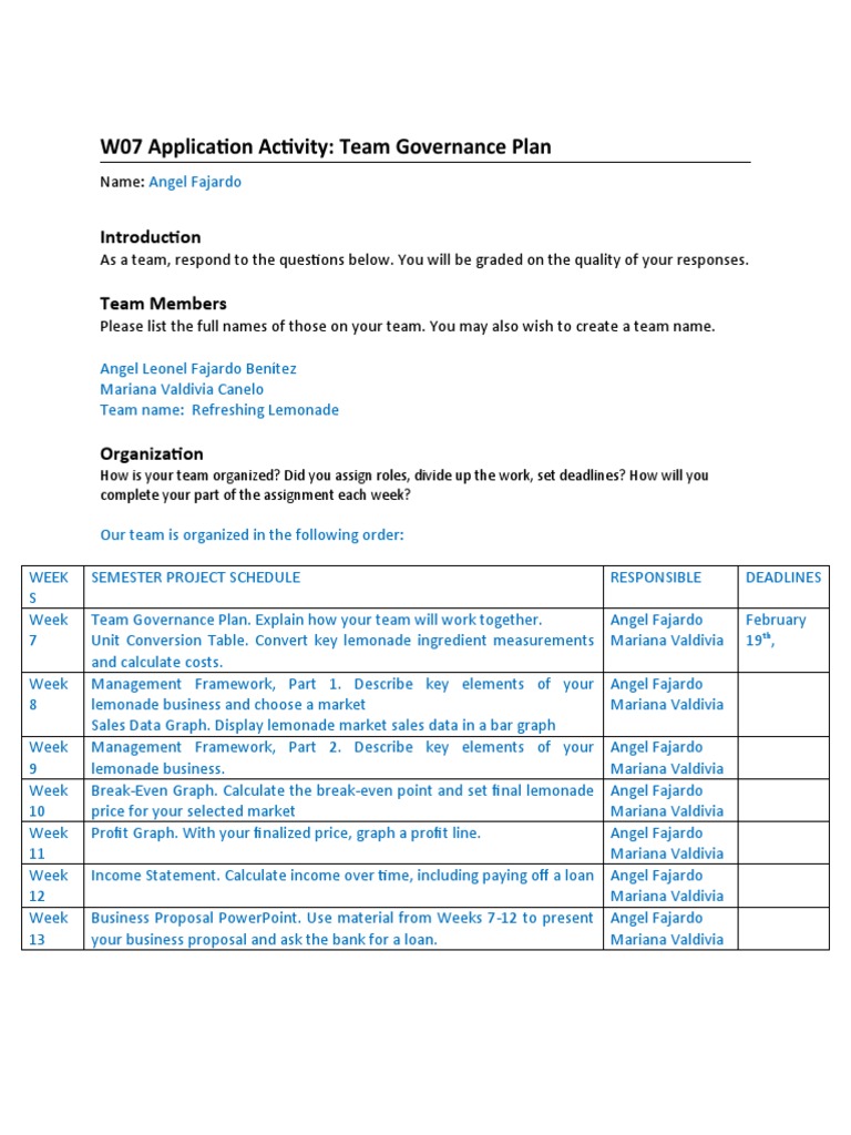pc102 Document w07ApplicationActivity TeamGovernancePlanTemplate | PDF | Prices | Business
