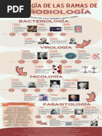 Prospecto NIFURYL | PDF | Infección del tracto urinario ...