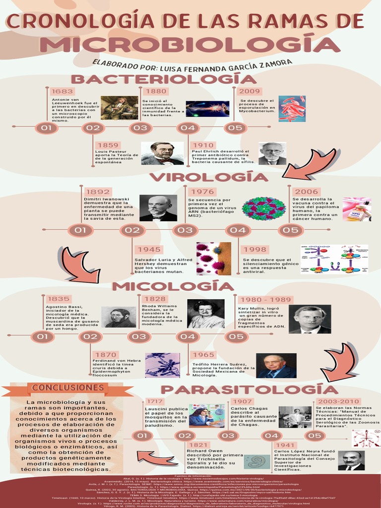 Ramas de La Microbiología | PDF | Medicina | Microbiología