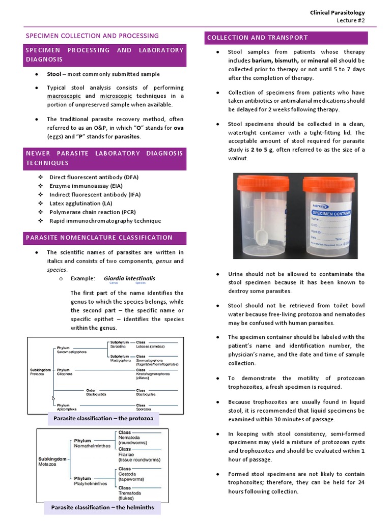 Specimen Collection for Parasitology | PDF | Protozoa | Fixation ...