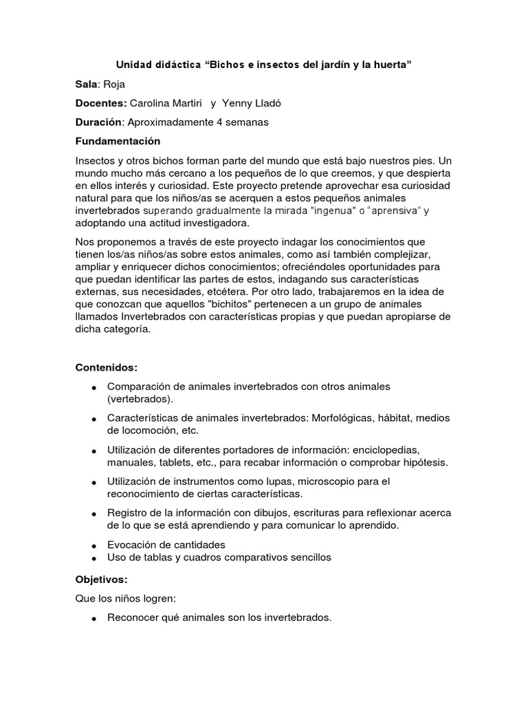 Descubriendo Bichos e Insectos | PDF