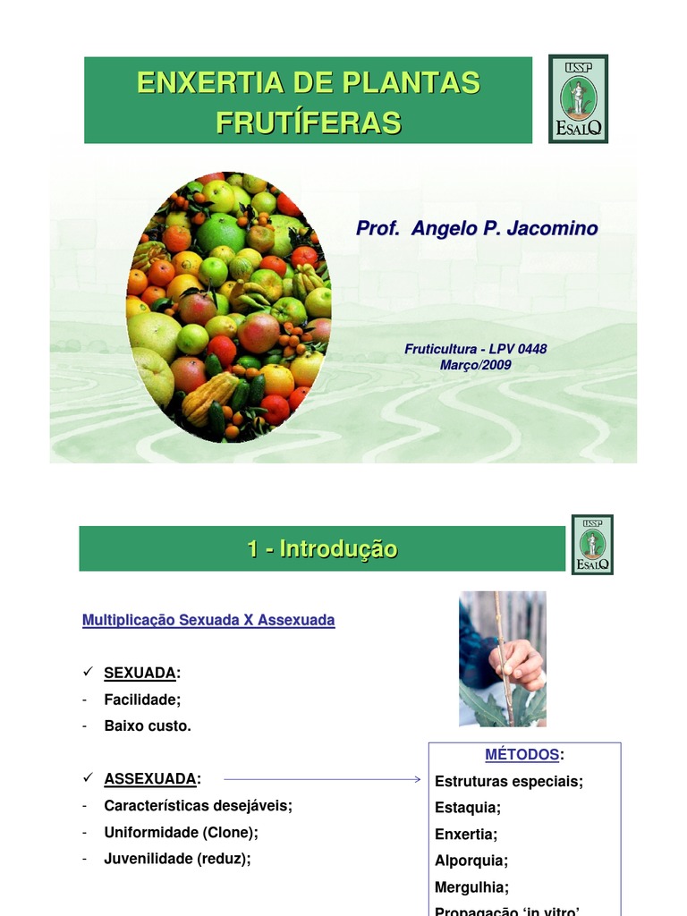 Técnicas de Enxertia em Fruticultura | PDF | Plantas | Botânica