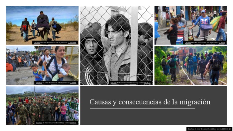 Causas y Consecuencias de La Migración | PDF