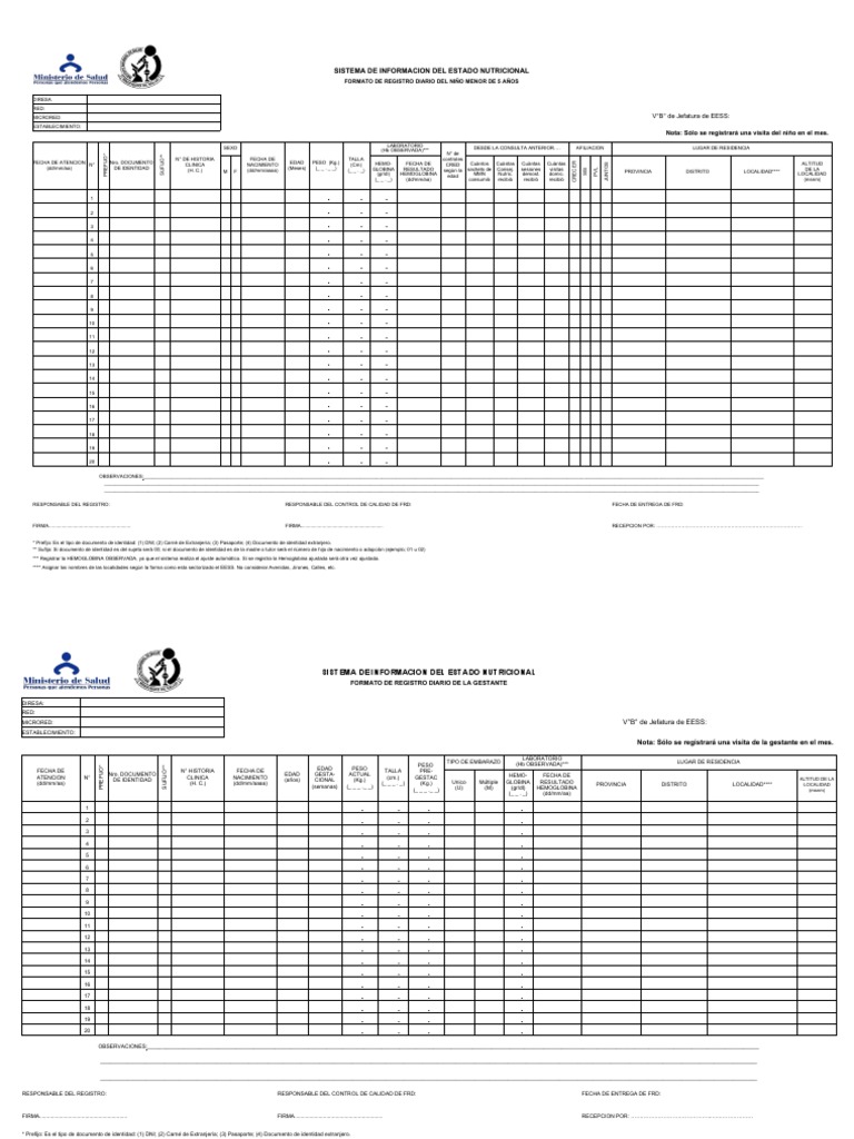 Formatos de Registro Diario X Etapas de Vida | PDF | Gobierno y ...