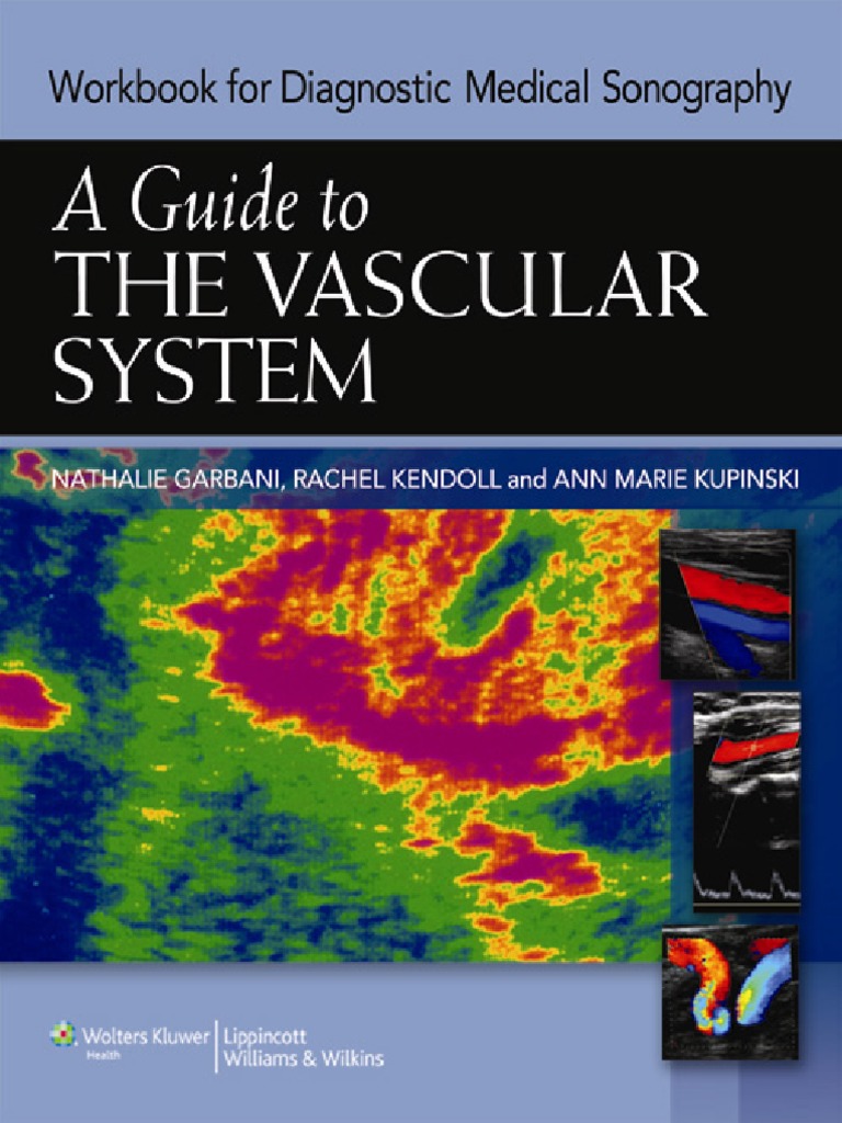 Workbook - A Guide To The Vascular System | PDF | Blood Vessel | Vein