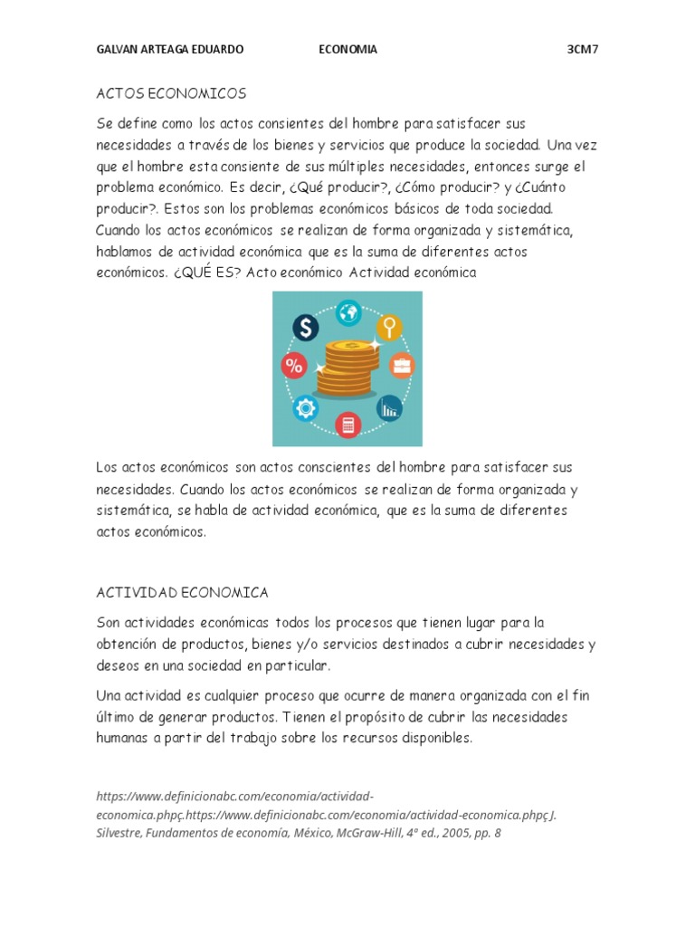 Actos Económicos y Actividad Económica | PDF