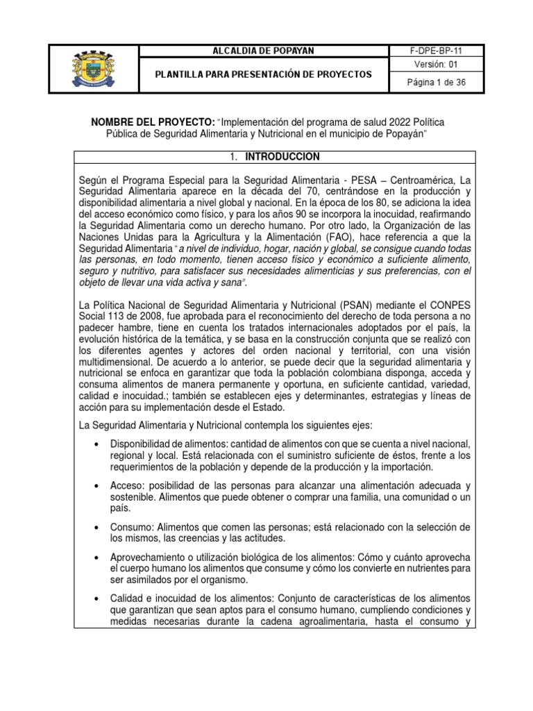 4 Plantilla para Presentación de Proyecto (F-DPE-BP-11) (Cuando Aplique) | PDF | Seguridad ...