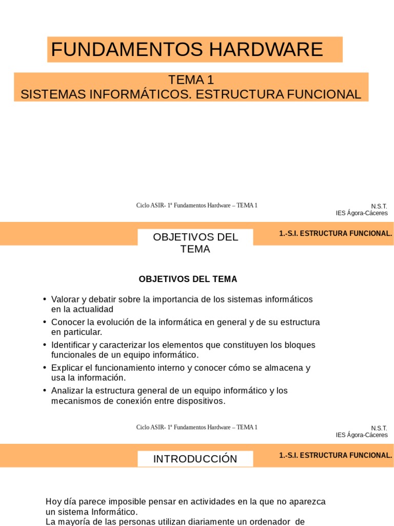 Tema01 - SI - Desarrollo - Funcional 2 | PDF | Almacenamiento de datos de la computadora ...