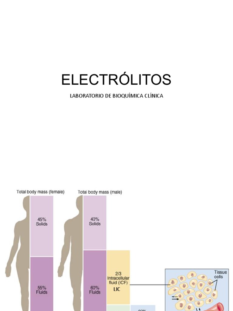 Electrolito Sodio | PDF | Sodio | Potasio
