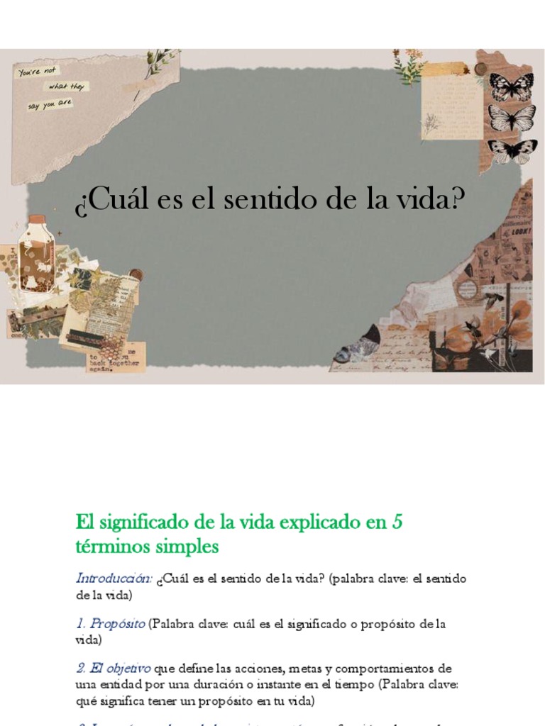 El Significado de La Vida | PDF | Significado de la vida | Felicidad