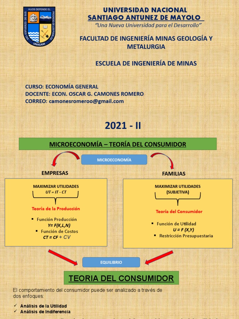 Teoría de La Utilidad | PDF | Utilidad | Utilidad marginal
