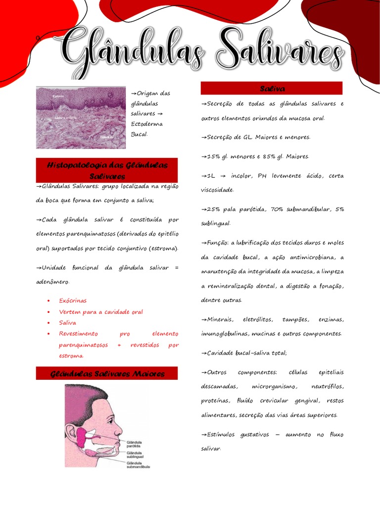 Glândulas | PDF | Boca | Saliva