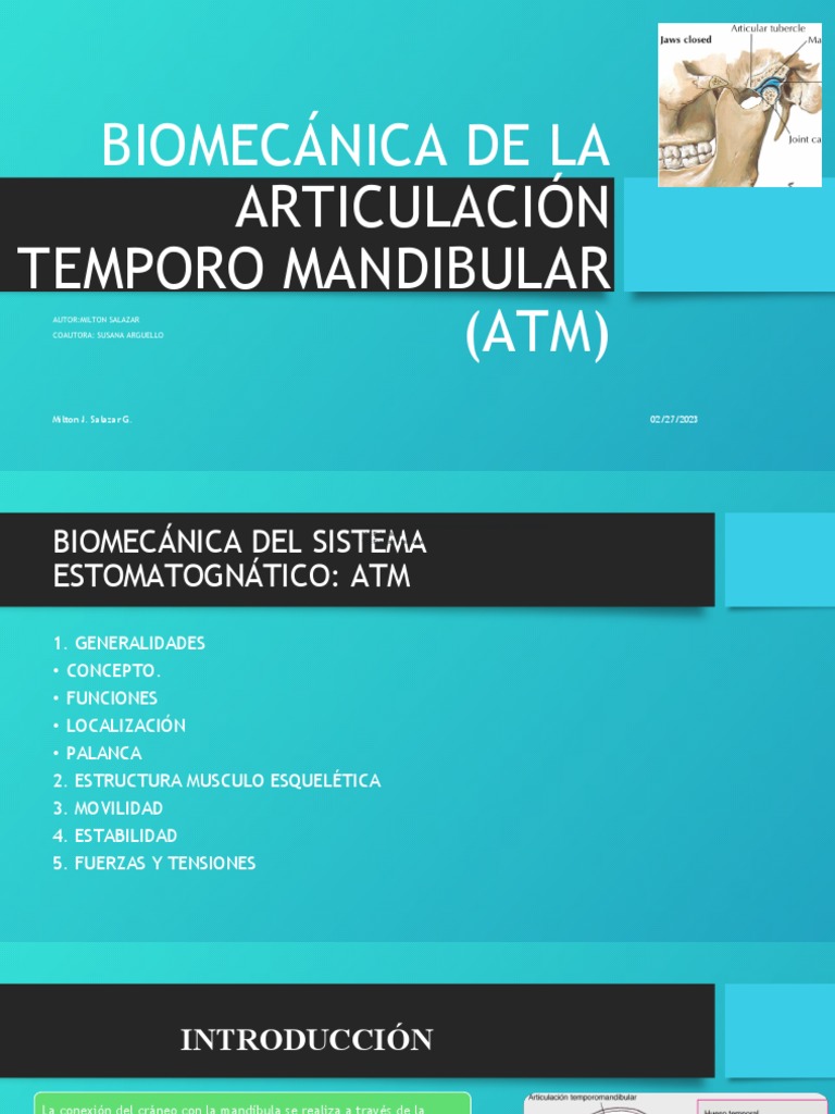 Biomecanica de La Atm | PDF | Cabeza y cuello humanos | Sistema musculoesquelético