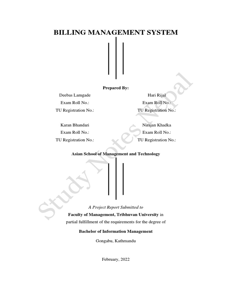 MIS Reference Report | PDF | Databases | Use Case