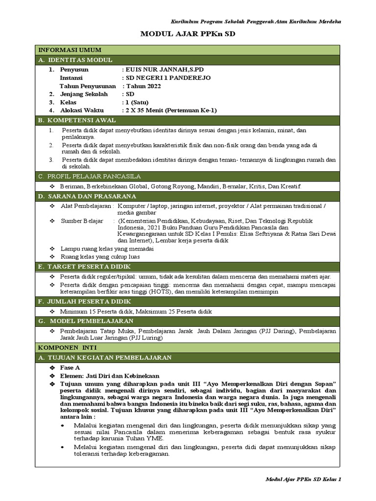 Modul Ajar, RPP PP Euis | PDF | Karier & Perkembangan