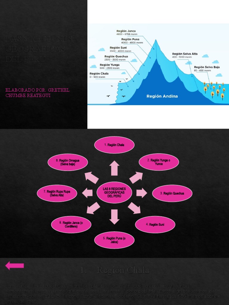 Las 8 Regiones Geográficas Del Perú1 | PDF | Perú