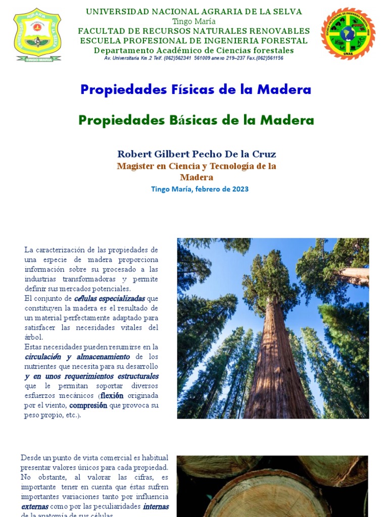 1 Propiedades Básicas de La Madera | PDF | Madera | Materiales