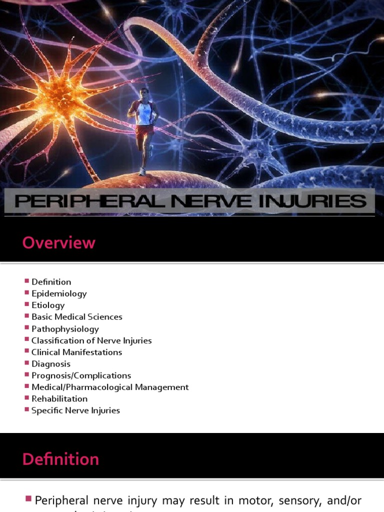 Classification of Peripheral Nerve Injuries | PDF | Elbow | Anatomical ...