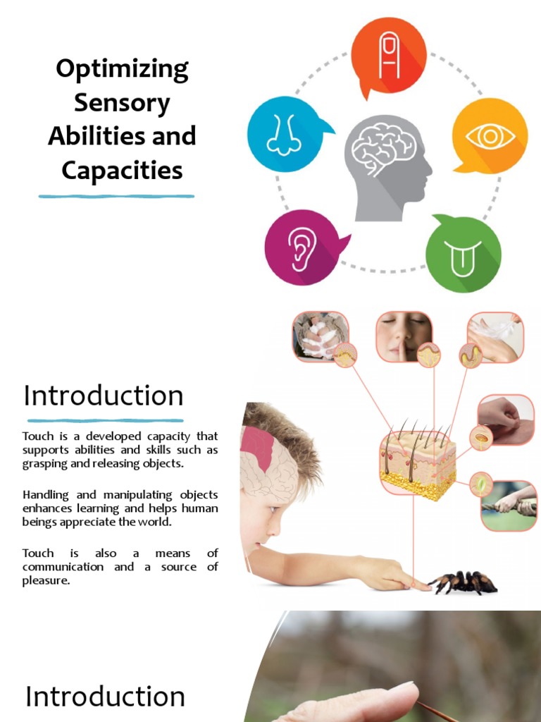 Optimizing Sensory Abilities and Capacities | PDF | Somatosensory ...