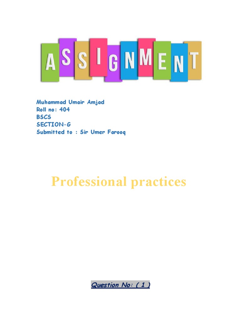 PP Assignment 3 | PDF | Cybercrime | Privacy