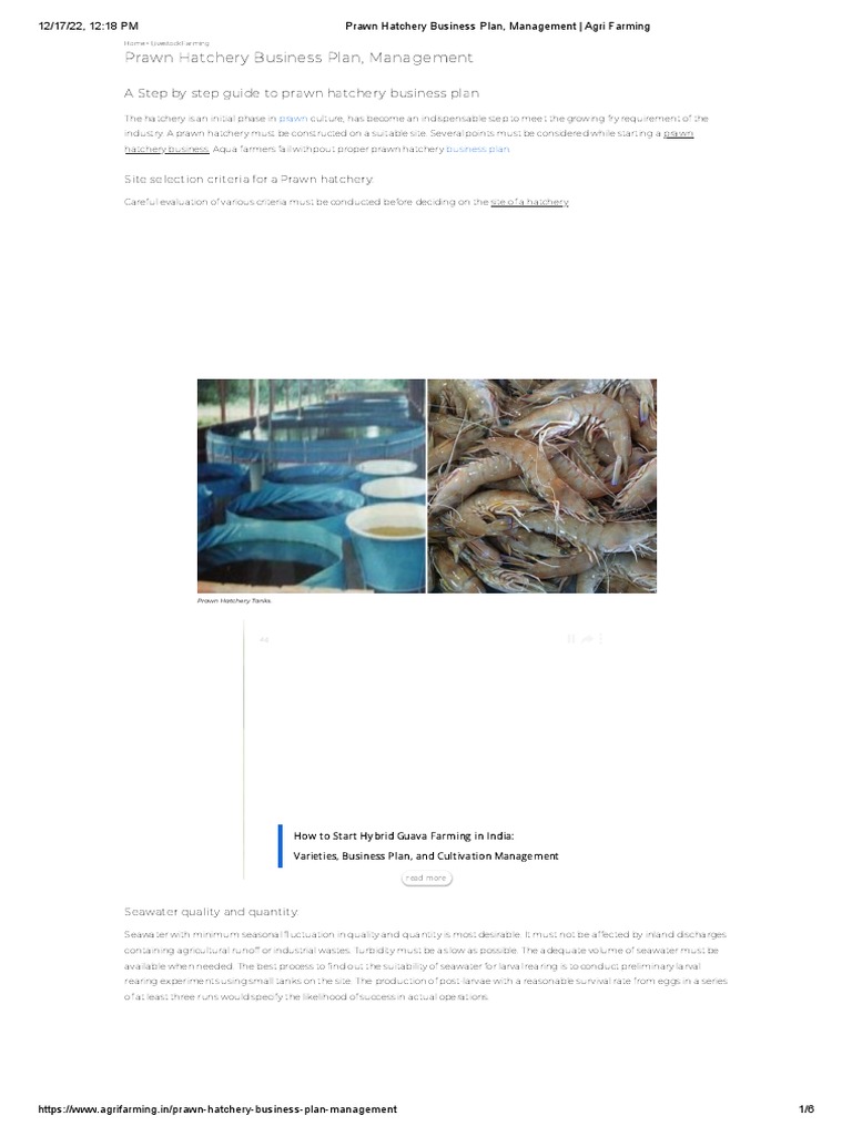 Prawn Hatchery Business Plan Guide | PDF | Filtration | Environmental ...