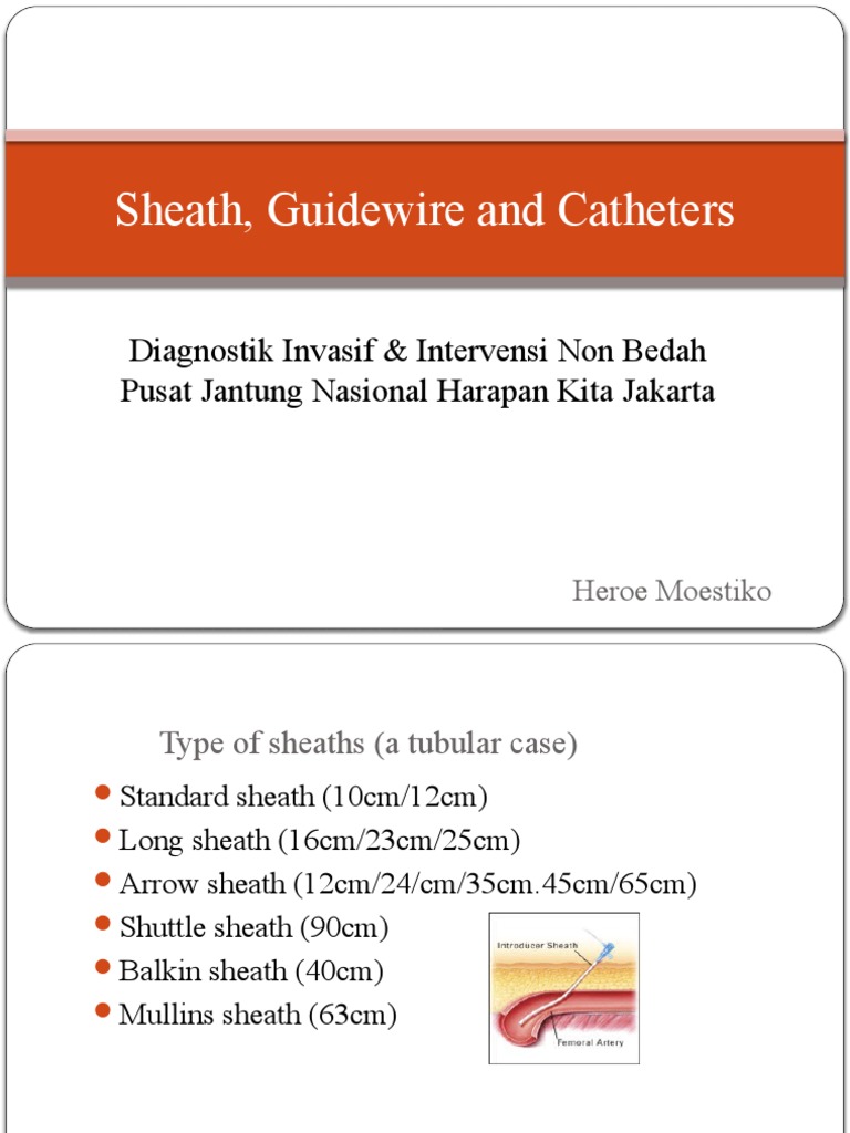 Types of Sheaths and Catheters in Cath Lab | PDF | Coronary Artery ...