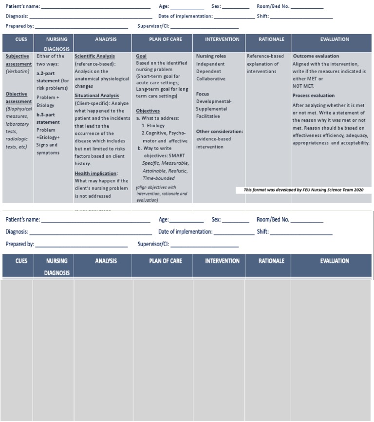 Nusing Care Plan Format 1 | PDF | Nursing | Evaluation