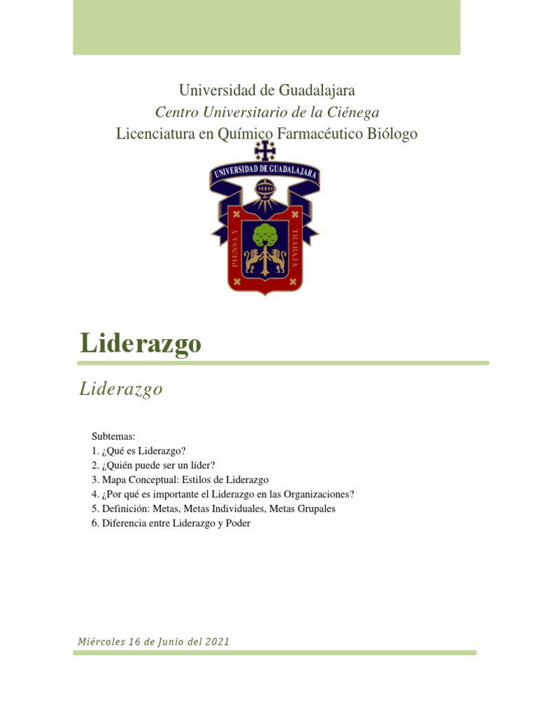 Liderazgo | Download Free PDF | Liderazgo | Comportamiento