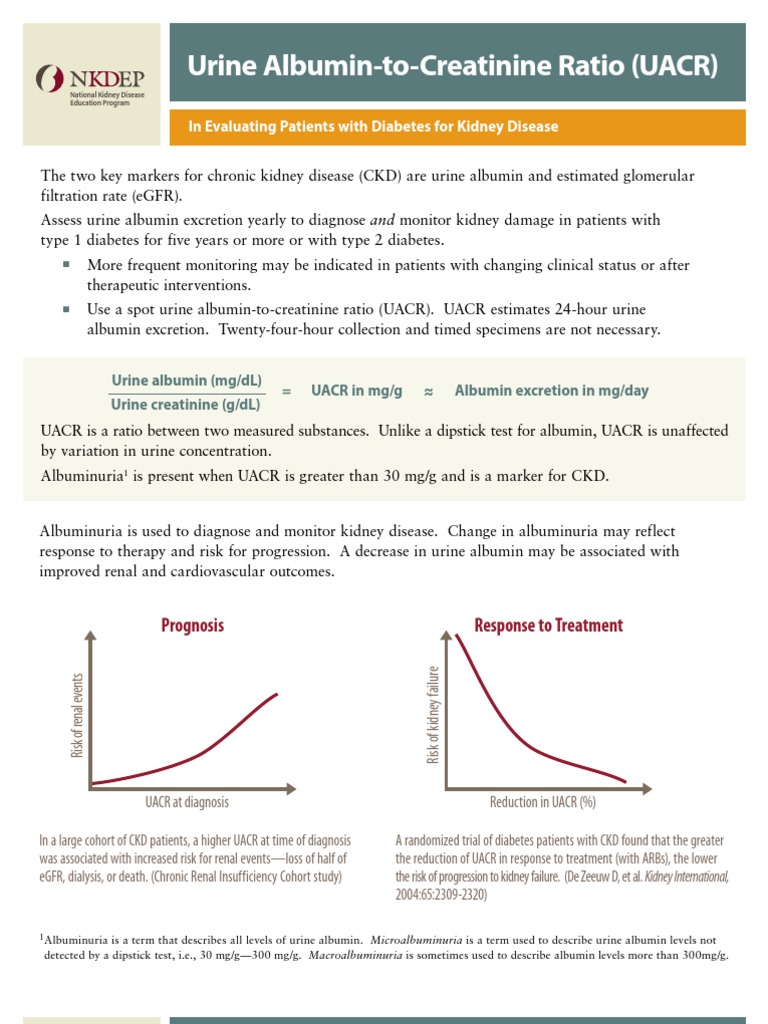 UACR GFR QuickReference 508 | PDF | Renal Function | Chronic Kidney Disease