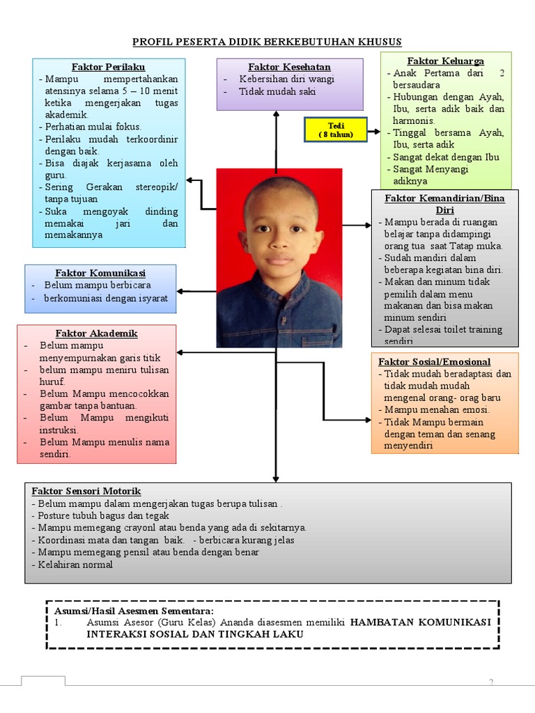 Instrumen Identifikasi DAN ASESMEN ANAK LUAR BIASA / SLB / ANAK AUTIS | PDF