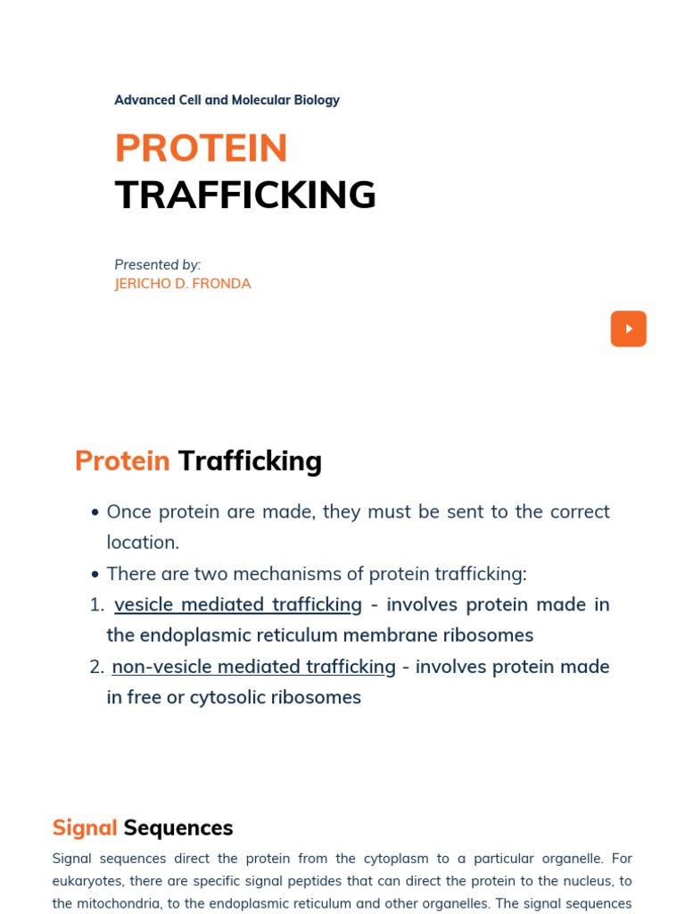 Protein Trafficking Mechanisms Explained | PDF | Protein Targeting ...