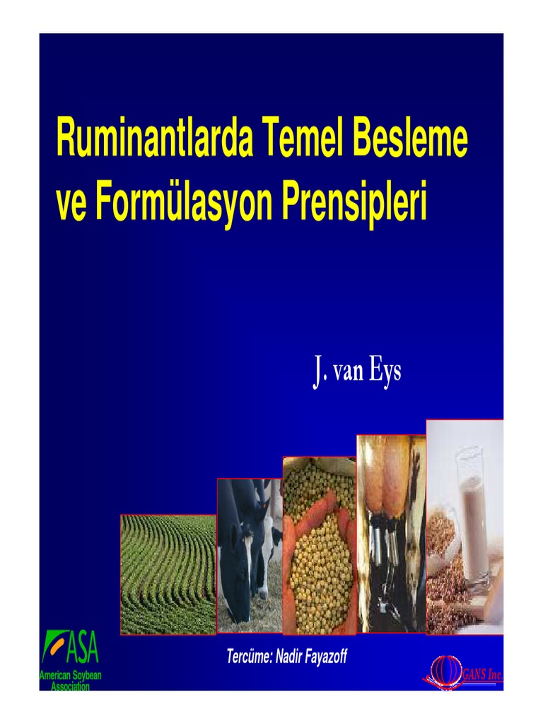 Ruminant Beslemesi Ve Formulasyon Prensipleri - 3 | PDF