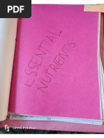 Class 10 History Timeline Shobhit Nirwan | PDF | Mahatma Gandhi ...