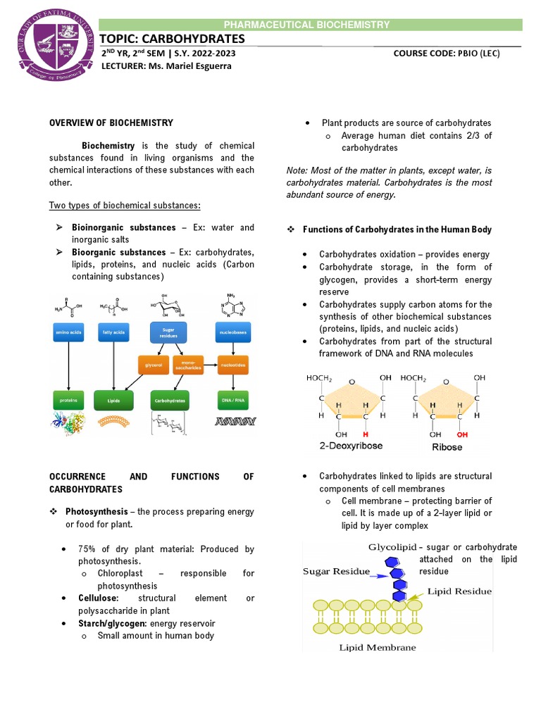 Pbio-Lec Carbohydrates | Download Free PDF | Carbohydrates | Chirality ...