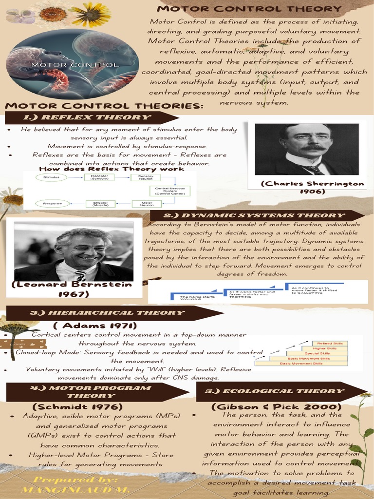 Infographic Michelle | PDF | Motor Control | Cognitive Science