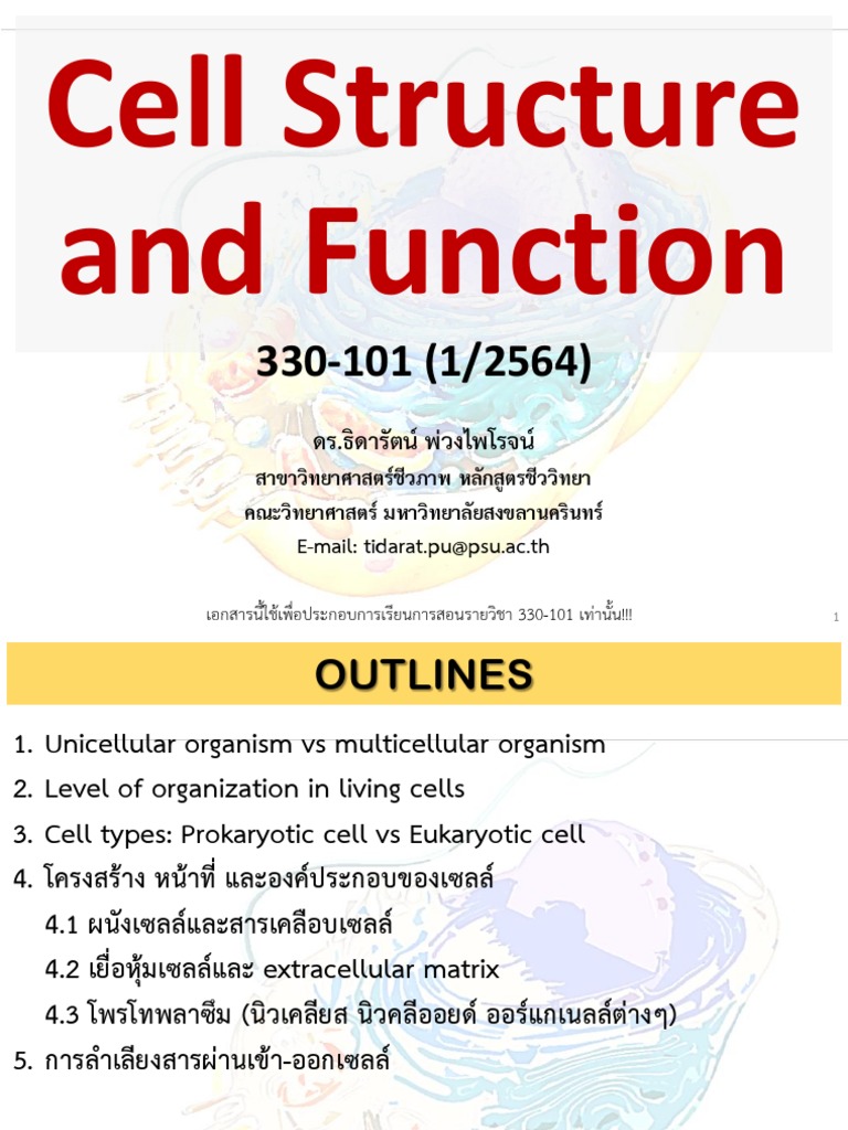 1-2564 - 330-101 - Cell and Organells - LMS2 | PDF
