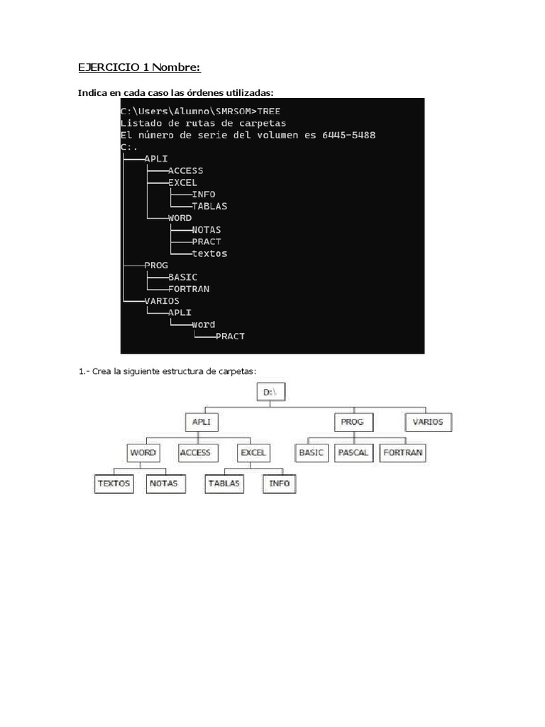 Ejercicio 1 CMD | PDF