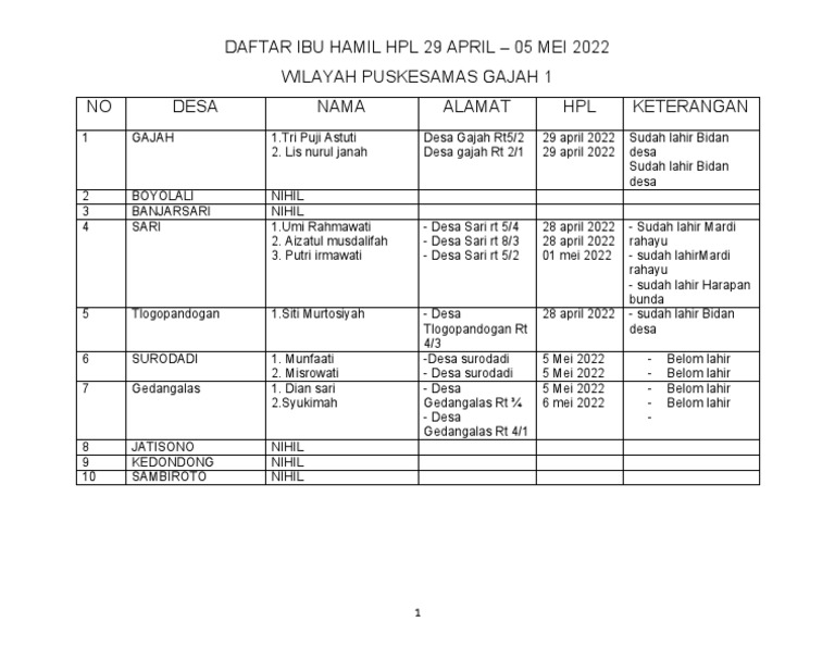 Contoh Pendataan Ibu Hamil | PDF