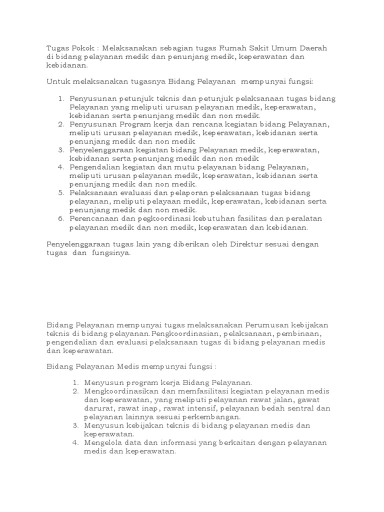 Program Kerja Pelayanan RSUD | PDF