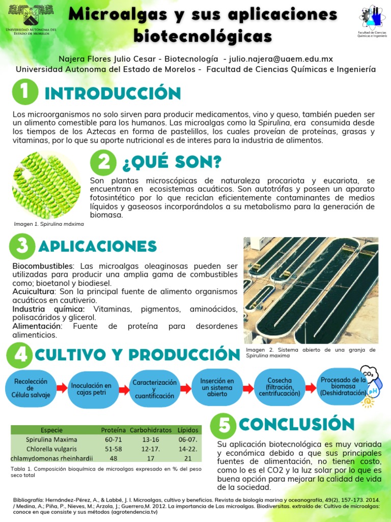 Microalgas en La Alimentación | PDF | Alimentos | Biocombustible