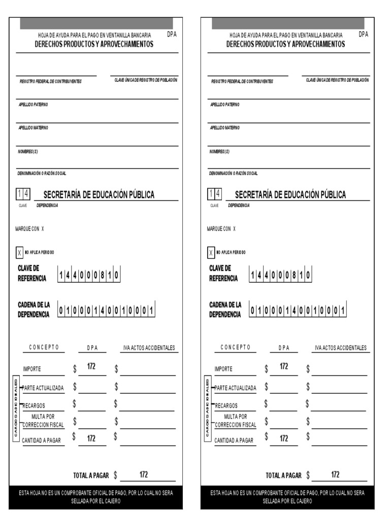 172 Pesos | PDF | Pagos | Economias