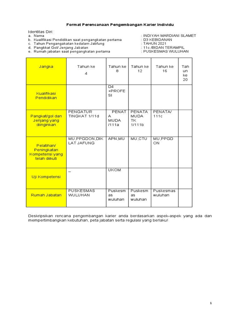 Rencana Karir Individu Bidan | PDF