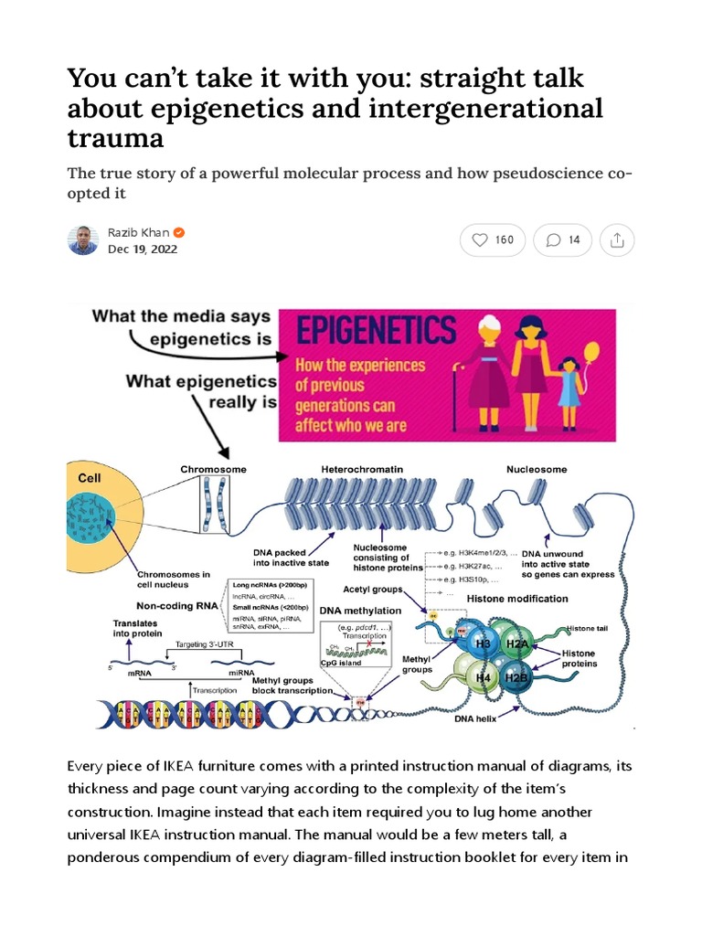 You Can't Take It With You - Straight Talk About Epigenetics and Intergenerational Trauma ...